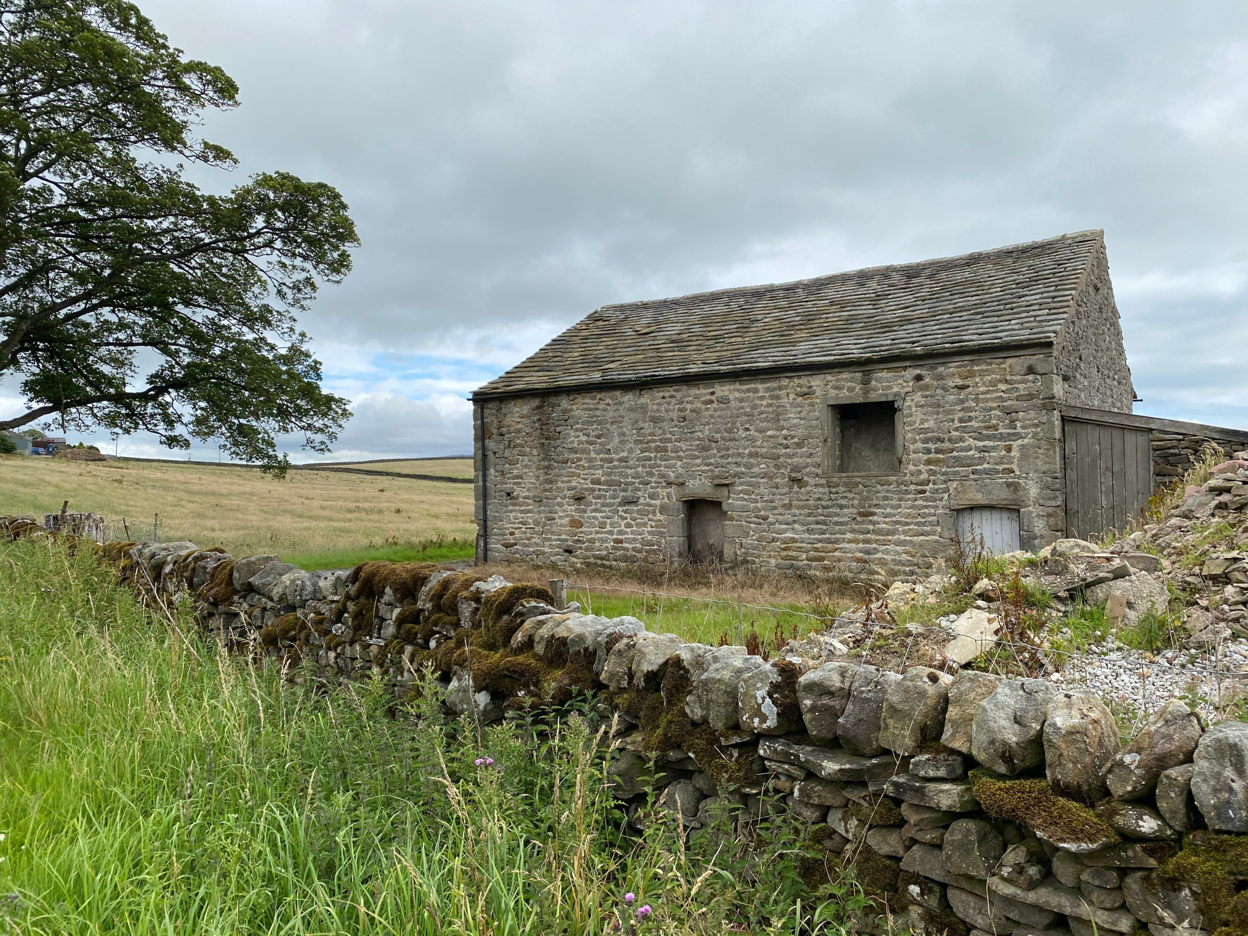 Old stone barn, in a field next to a dry stone wall, and long gr - UK ...
